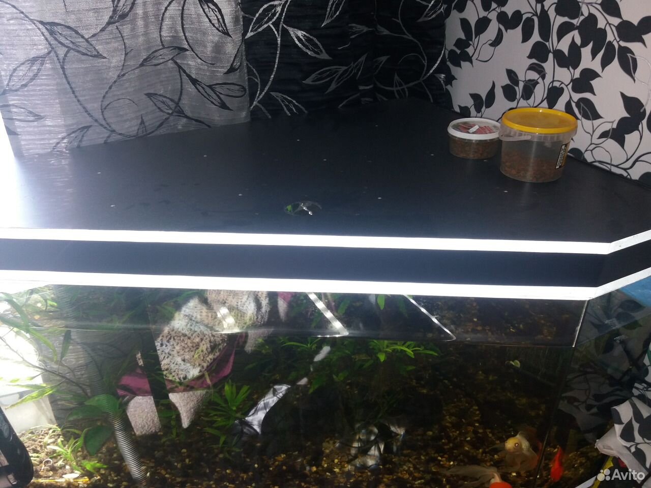 Золотые рыбки вместе с акквариумом