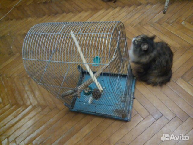 Клетка для птицы
