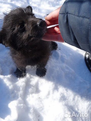 Кай ищет дом)