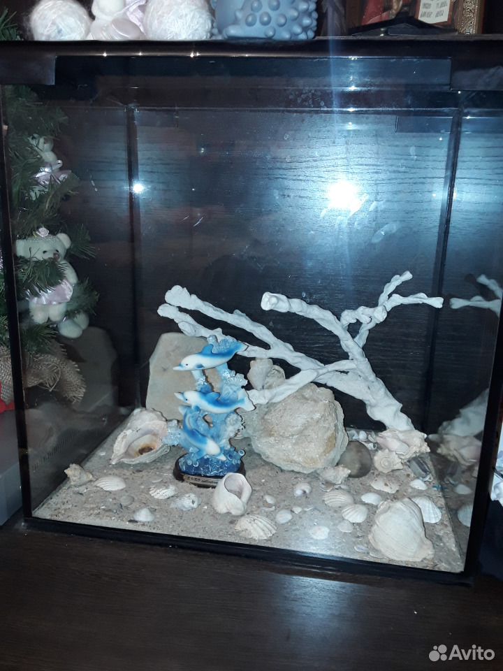 Аквариум с рыбками