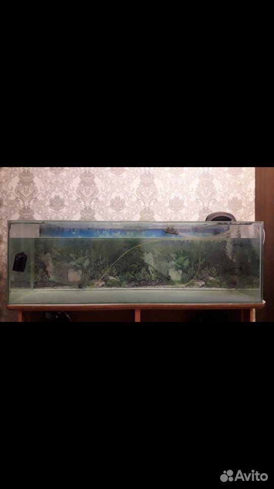 Аквариум