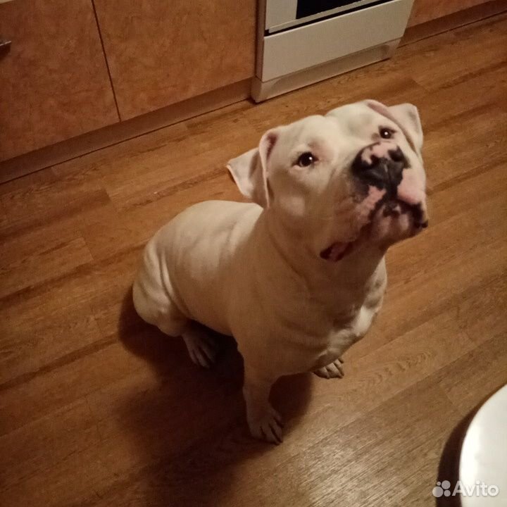 Приедем на вязку