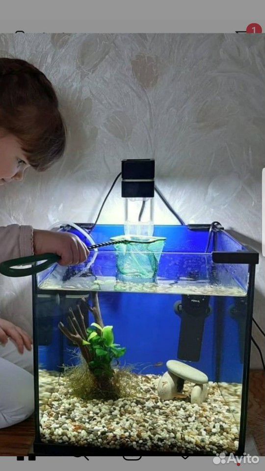 Аквариум