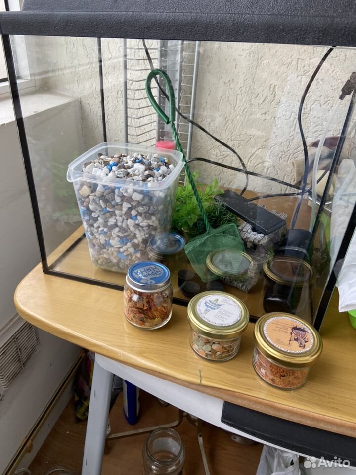 Аквариум с наполнением