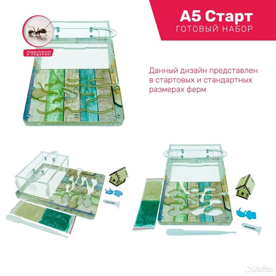 Муравьиная ферма