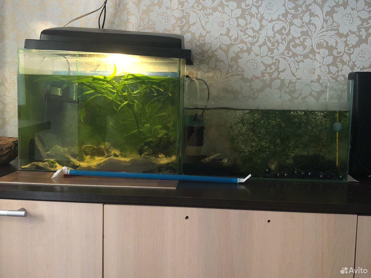 Аквариум
