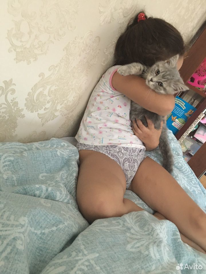 Котёнок