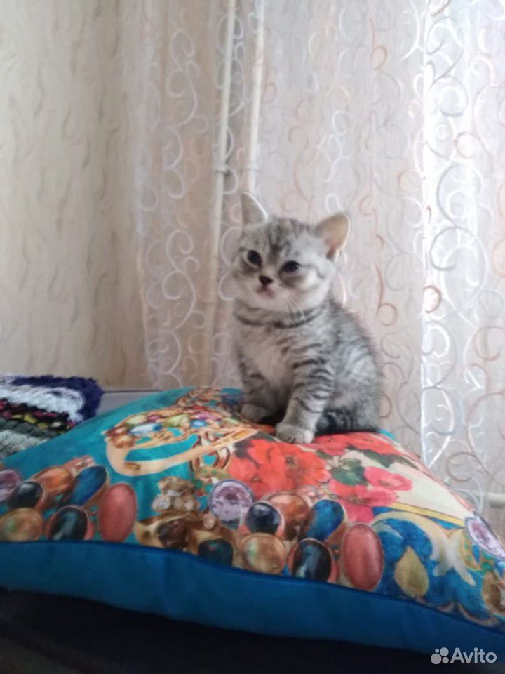 Девчули-красотули