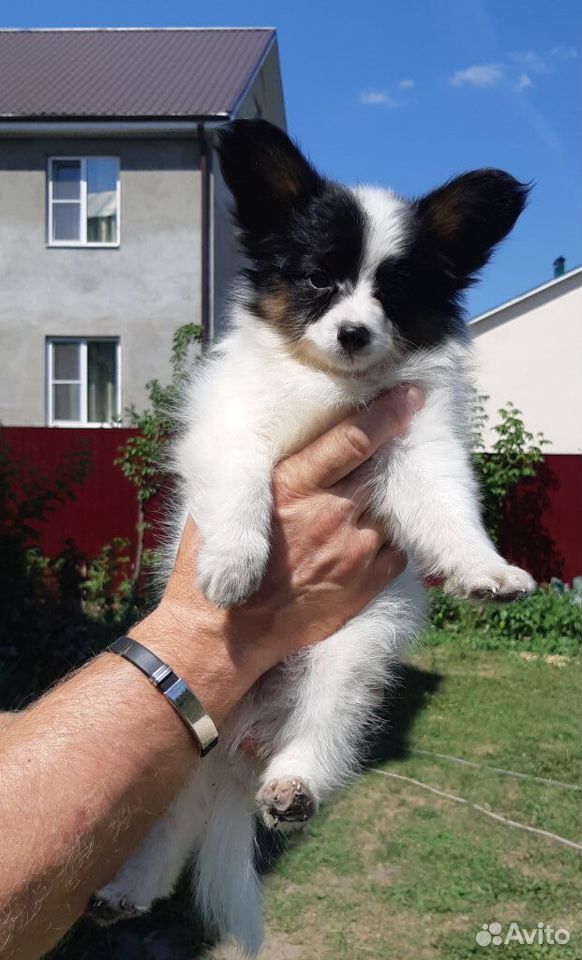 Супер парень