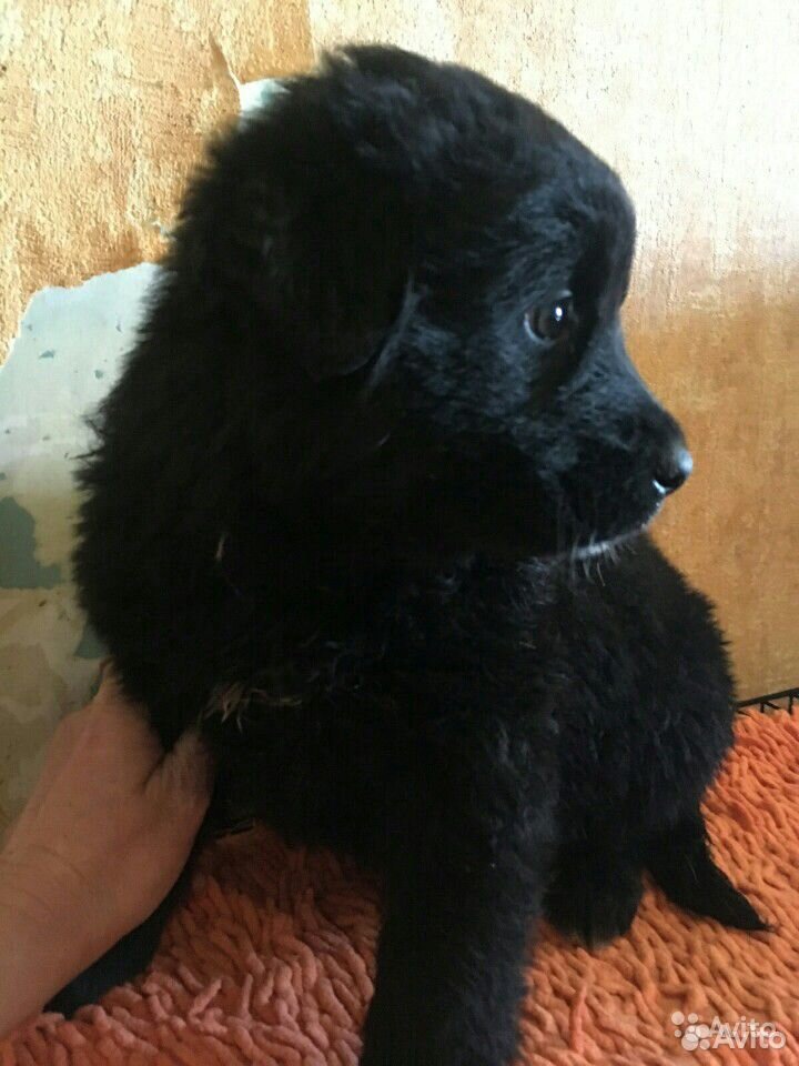 Мальчик хулиганчик