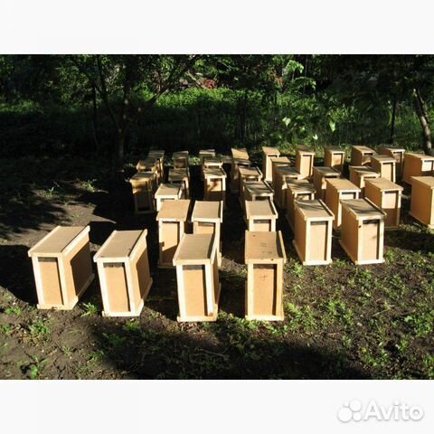 Пчелопакеты