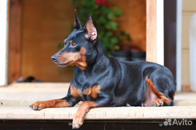 Брутальный парнишка