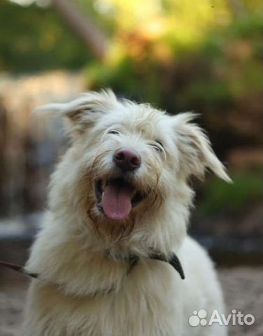 Красавица Мишель