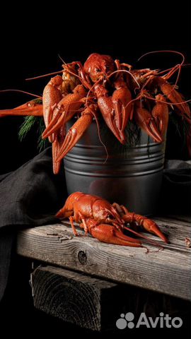Продам живые раки