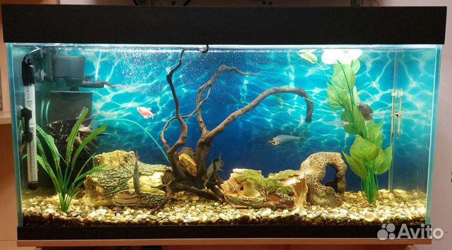 Аквариум