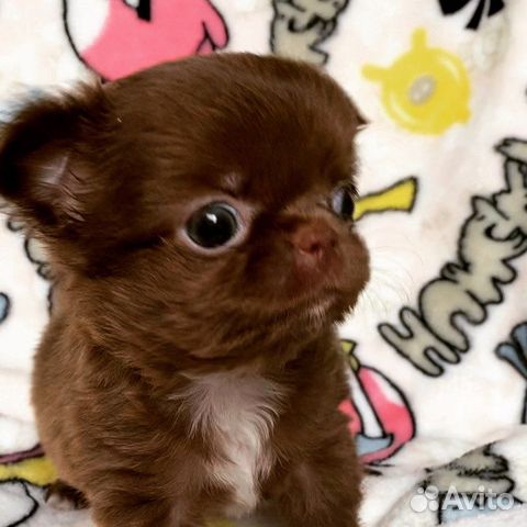 Очень сладкий) Очень нежный)