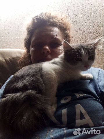 Котенок девочка