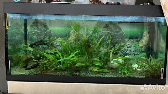 Аквариум