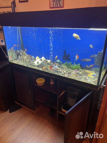 Аквариум