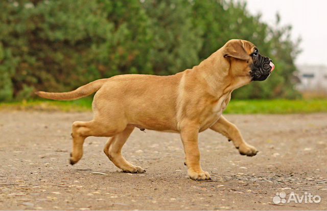 Супер парень