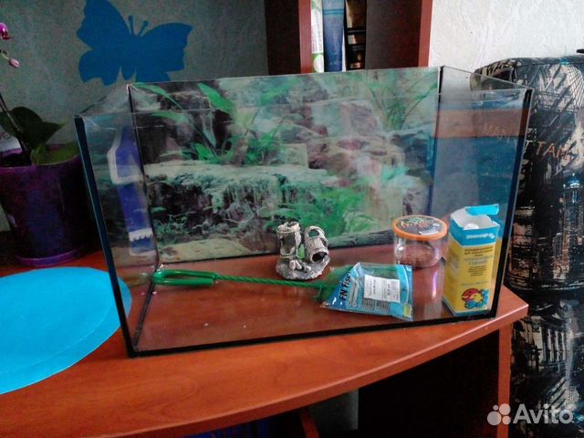 Аквариум