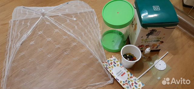 Бабочкариум от fly-fly