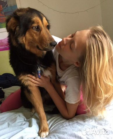 Собака с двумя именами