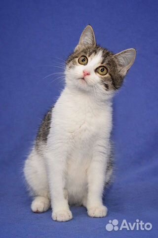 Тося и Фрося 3 мес