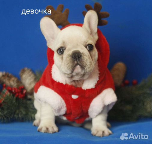 Новогодние "Подарочки"