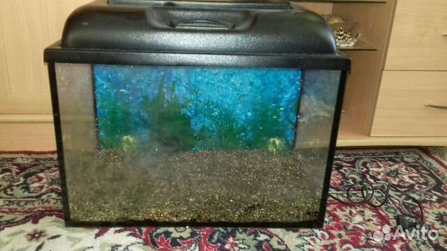 Аквариум