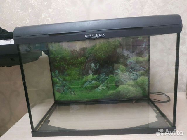 Аквариум brillux