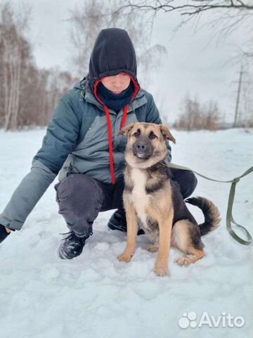 Маленький Нео ищет маму