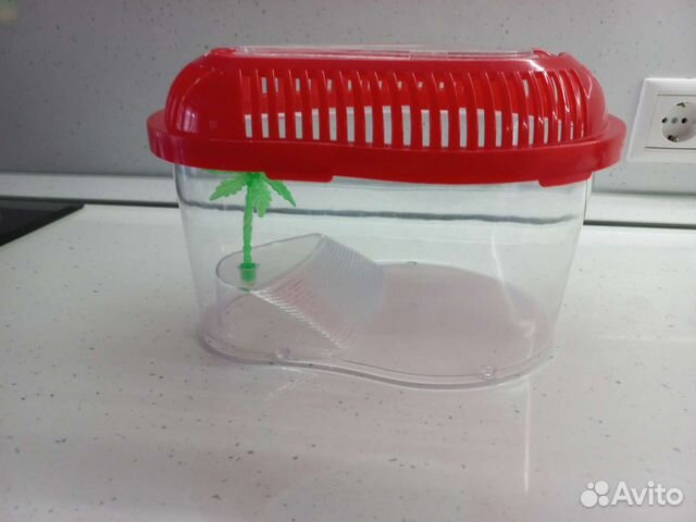 Террариум для черепах