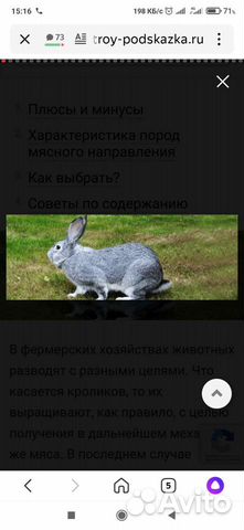 Продаю семью кроликов