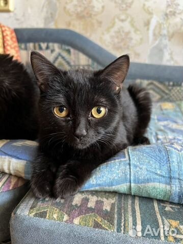 Мальчик 9 мес. в поисках семьи