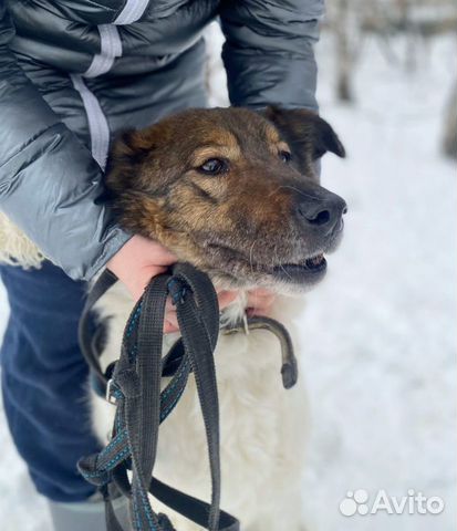 Нет шансов на нормальную жизнь в приюте