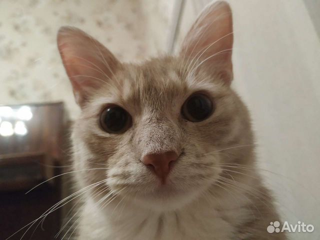 Степан-хулиган, 8 месяцев