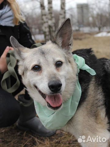 Мотя заново учится доверять людям