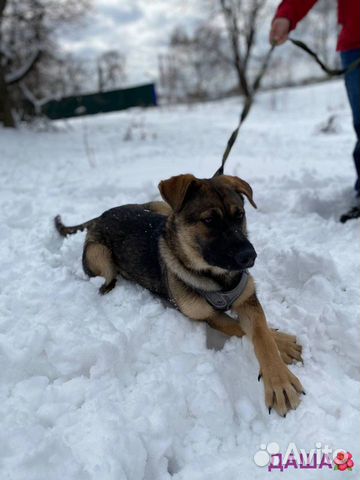 Берта настоящая леди, которая ищет дом