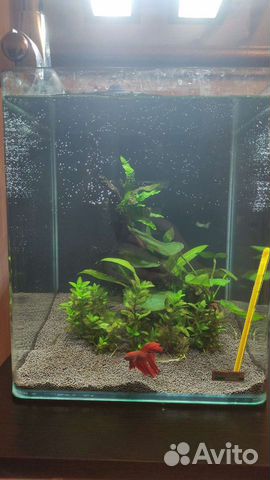 Аквариум dennerle nano cube 20л