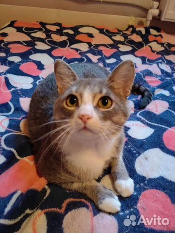 Барон ждëт свою любящую семью