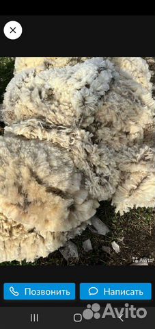 Шерсть овечья