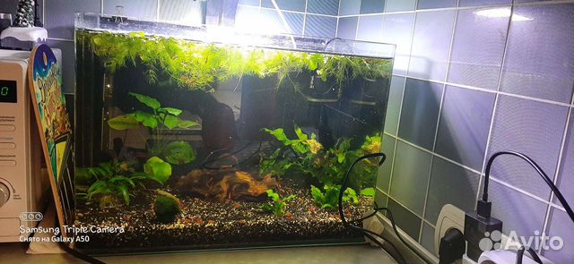 Креветочник 45 литров