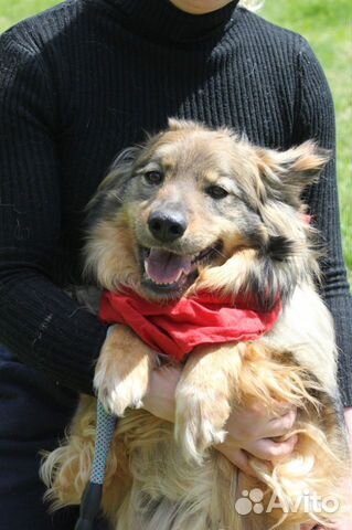 Красотка Рокси ищет родителей