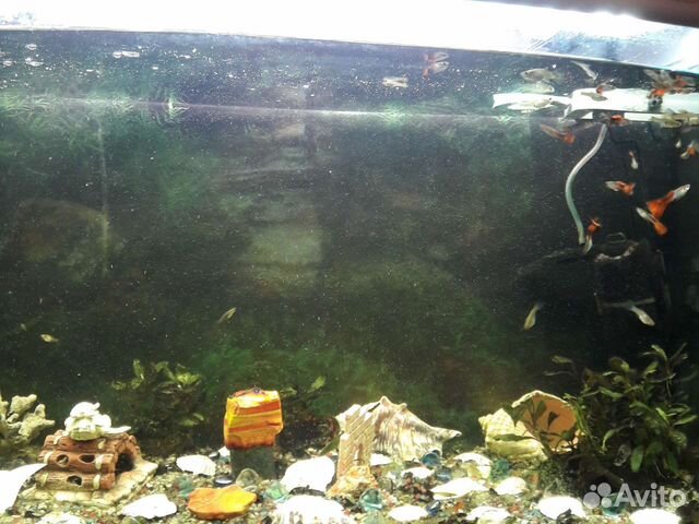 Украшение для аквариума