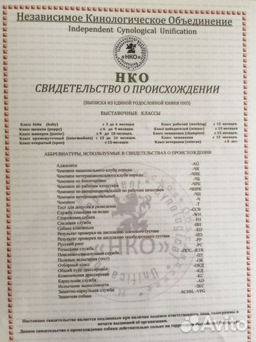 Кобель для вязки