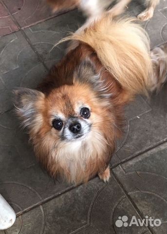 Мужичок с ноготок для вязок