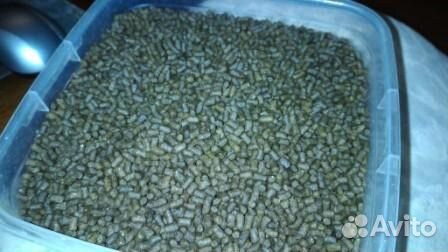 Донный корм