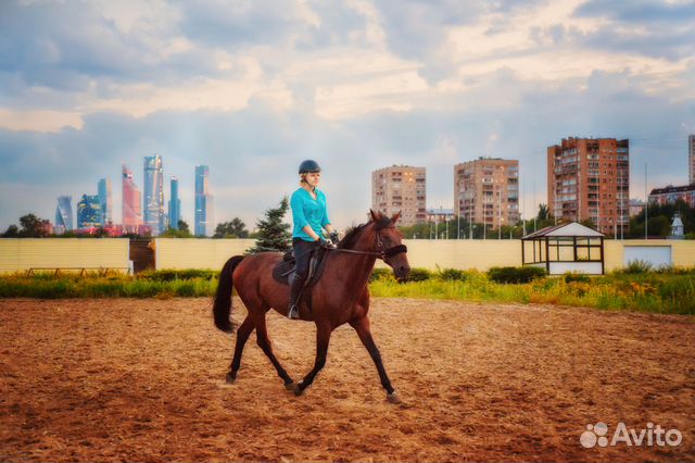 Аренда коня на цми