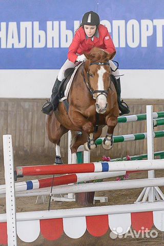 Продаётся спортивная кобыла